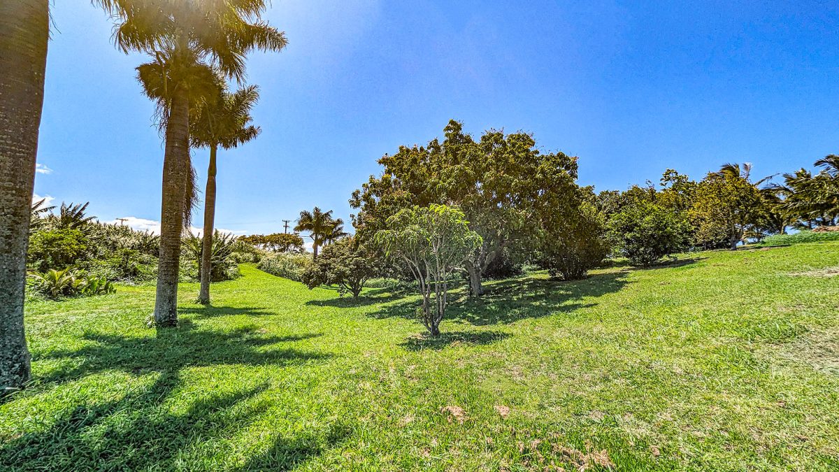 Queen Bed Room Rentals Maui - Bed & Breakfast in Maui
